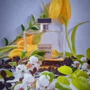 Gabrielle Chanel perfume - a fragrance for women 2017
