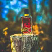 Libre Intense Yves Saint Laurent perfume - a fragrância Feminino 2020