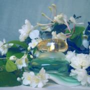 Elvie Oriflame perfume - a fragrance for women