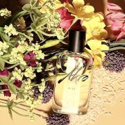 Rise Akro аромат — аромат для мужчин и женщин 2023