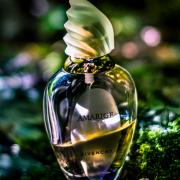 Amarige Givenchy fragancia - una fragancia para Mujeres 1991