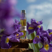 Sibet Slumberhouse perfume - a new fragrance for women and men 2022