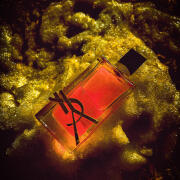 Libre Intense Yves Saint Laurent perfume - a fragrância Feminino 2020