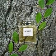 Sycomore Parfum Chanel perfume - a new fragrance for women and men 2022