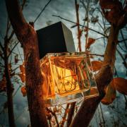 M7 Yves Saint Laurent cologne - a fragrance for men 2002