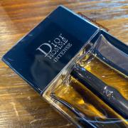 Dior Homme Intense 2011 Dior colônia - a fragrância Masculino 2011