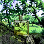Idôle Lancome fragancia - una nuevo fragancia para Mujeres 2019