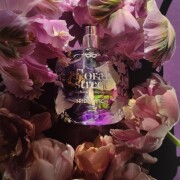 Enchanted Masquerade Floral Street perfume - a new fragrance for women 2026