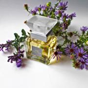 Very Valentino Valentino perfume - a fragrance for women 1998