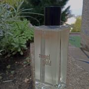 Angel Gold Victoria's Secret perfume - a fragrance for women 2015