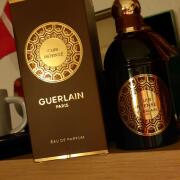 Cuir Intense Guerlain perfume - a new fragrance for women and men 2024