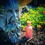 A Chant for the Nymph Gucci perfume - a new fragrance for women and men ...