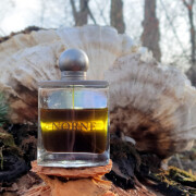Norne Slumberhouse perfume - a fragrance for women and men 2012