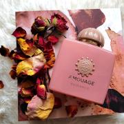 Guidance Amouage perfume - a new fragrance for women and men 2023