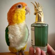 Heartless Helen Penhaligon's perfume - a fragrance for women 2019