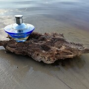 Paradox Jacomo parfum - een geur voor dames 1998
