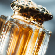 Amir Two Ajmal perfume - a new fragrance for women and men 2022