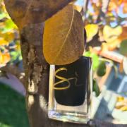 Si Intense Night Light Giorgio Armani perfume - a fragrance for women 2016