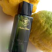 Treng Waves Ibrahim Fuhaid perfume - a fragrance for women and men 2022