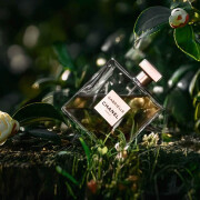 Gabrielle Chanel perfume - a fragrance for women 2017