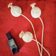 Calypso Robert Piguet perfume - a fragrance for women 2010
