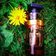 Field Notes From Paris Ineke perfume - a fragrance for women and men 2009