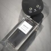 Babycat Yves Saint Laurent perfume - a new fragrance for women and men 2022