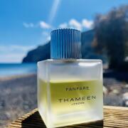Fanfare Thameen perfume - a fragrance for women and men 2023
