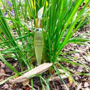 Extravagance d'Amarige Givenchy perfume - a fragrance for women 1998