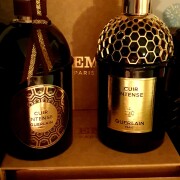 Cuir Intense Guerlain perfume - a new fragrance for women and men 2024