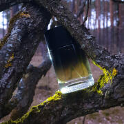 34 Boulevard Saint Germain Eau de Parfum Diptyque perfume - a fragrance ...