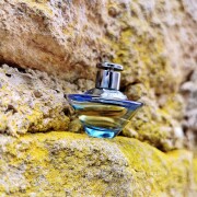 Paradox Jacomo perfume - a fragrance for women 1998