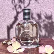 Eau de Parfum Camélia Eclatant Durance en Provence perfume - a ...