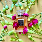 Coco Eau de Parfum Chanel perfume - a fragrance for women 1984