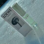 Earth Loewe perfume - a new fragrance for women and men 2022