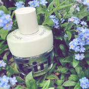 Girl Rochas perfume - a fragrance for women 2021