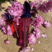 Rose by Cardin Pierre Cardin perfume - a fragrance for women 1990