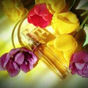 Angelfire Mary Kay perfume - a fragrance for women 1977