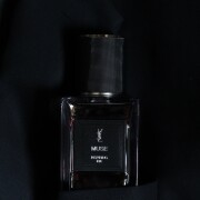 Muse Yves Saint Laurent perfume - a new fragrance for women and men 2025
