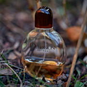 Obsession for Men Calvin Klein cologne - a fragrance for men 1986