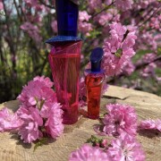 Rose by Cardin Pierre Cardin perfume - a fragrance for women 1990