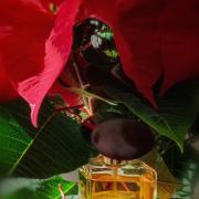 Mystere Rochas perfume - a fragrance for women 1978