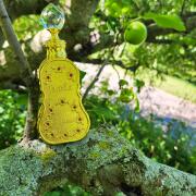 Jamila Swiss Arabian perfume - a fragrance for women