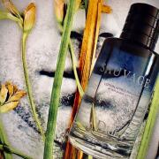 Sauvage Dior cologne - a fragrance for men 2015