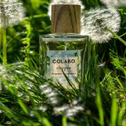 Chypre Bergamot & Coriander COLABO perfume - a fragrance for women and ...