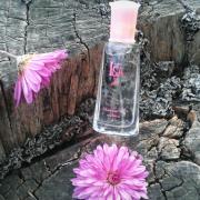 Isa Ulric de Varens perfume - a fragrância Feminino