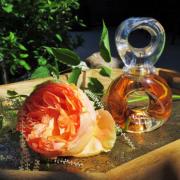 Bijan Bijan perfume - a fragrance for women 1986