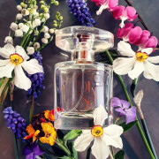 Diane Eau de Toilette Diane von Furstenberg perfume - a fragrance for ...