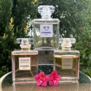 Coco Mademoiselle Intense Chanel fragancia - una fragancia para Mujeres ...