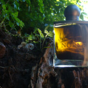 Norne Slumberhouse perfume - a fragrance for women and men 2012